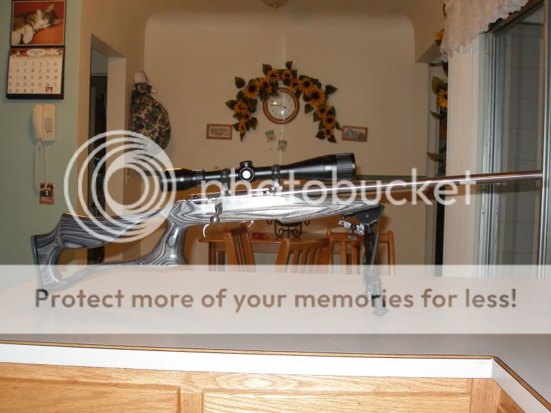 93r17 In Ss Evolution Stock!! | Rimfire Central Firearm Forum