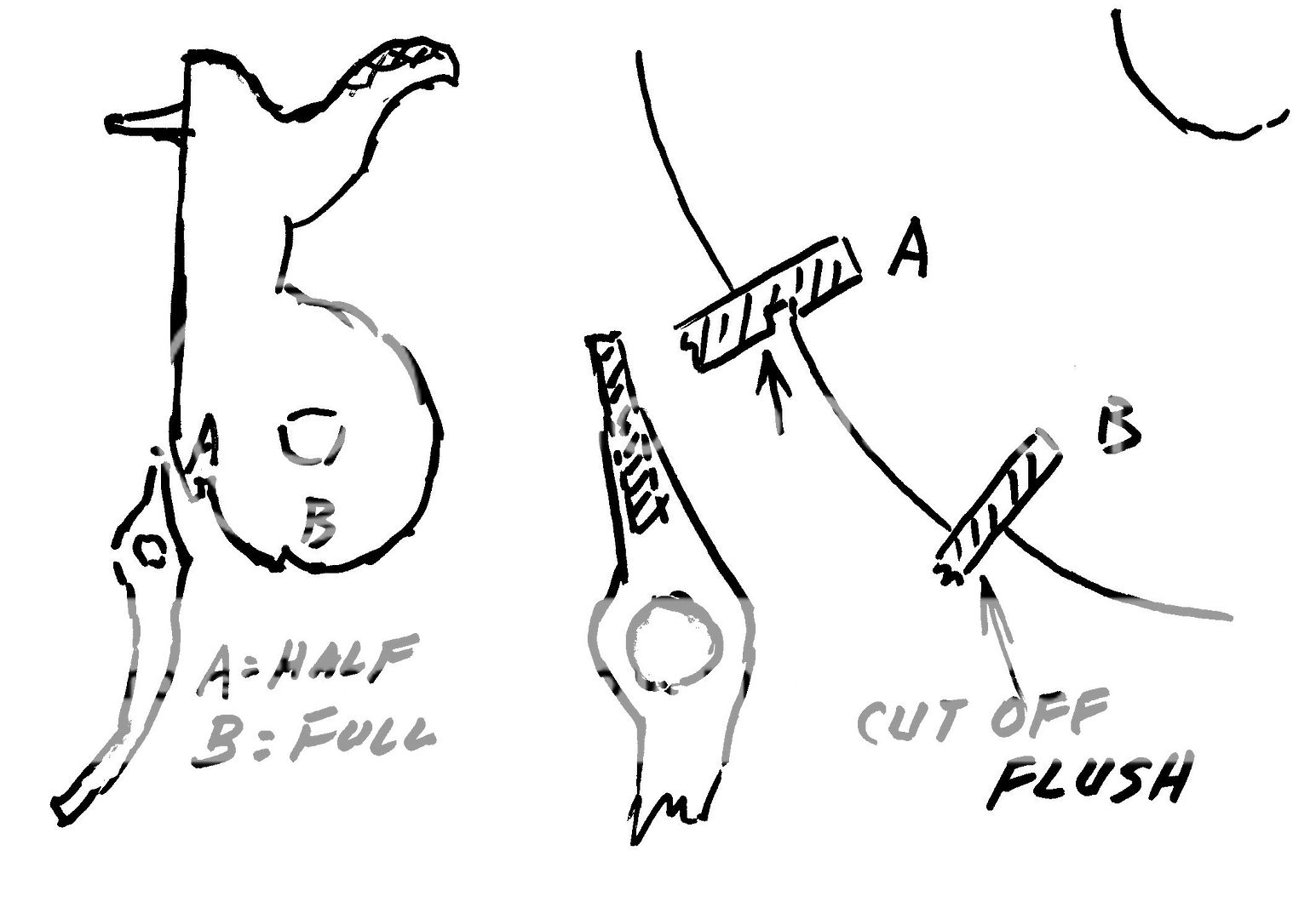 Repairing Hammers & Sears -- Older Guns | Colt Forum