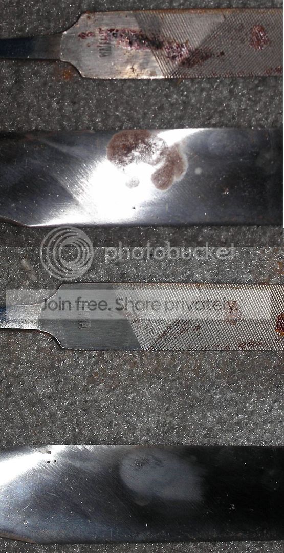 "blood pitting" | Colt Forum
