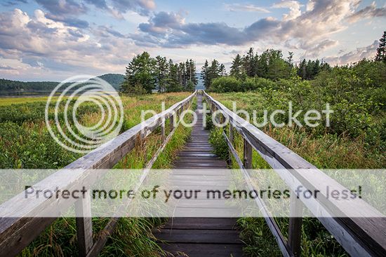 6 Of The Most Famous Dig Sites Across North America