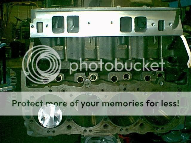 Pro Comp Aluminum Heads | Team Chevelle