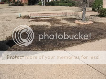 Pics of a customers BURNT yard. | Lawn Care Forum
