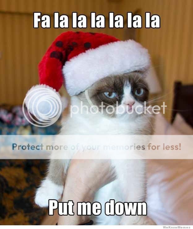 SVR Best Cat Meme of the Interwebz | Page 4 | Suzuki SV650 Riders Forum