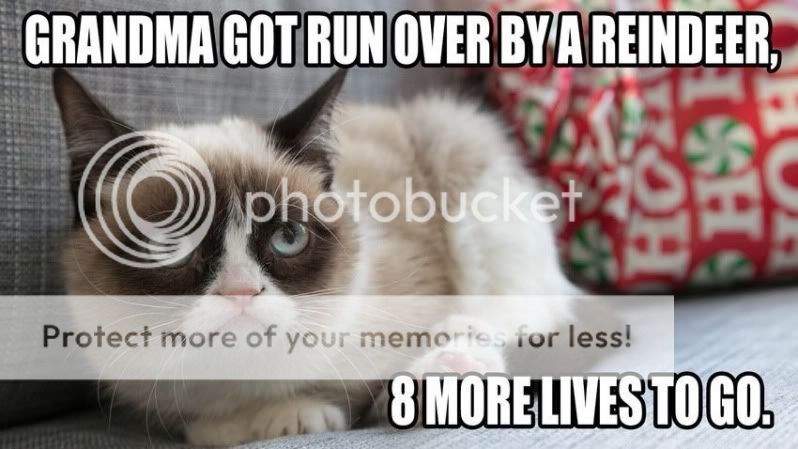 SVR Best Cat Meme of the Interwebz | Page 4 | Suzuki SV650 Riders Forum